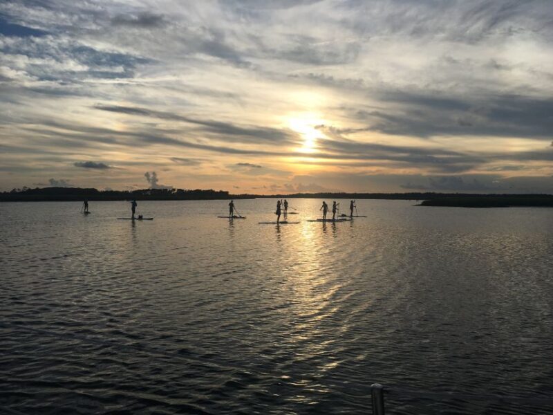 Charleston: Folly Beach Stand Up Paddleboard Dolphin Safari - What Travelers Say: Real Experiences and Insights