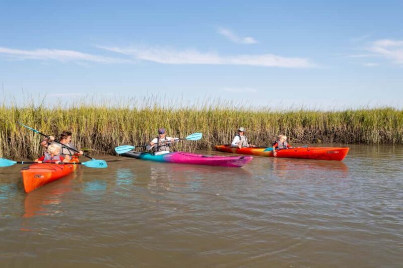 Charleston: Folly River Sunset Kayak Dolphin Safari - Key Points