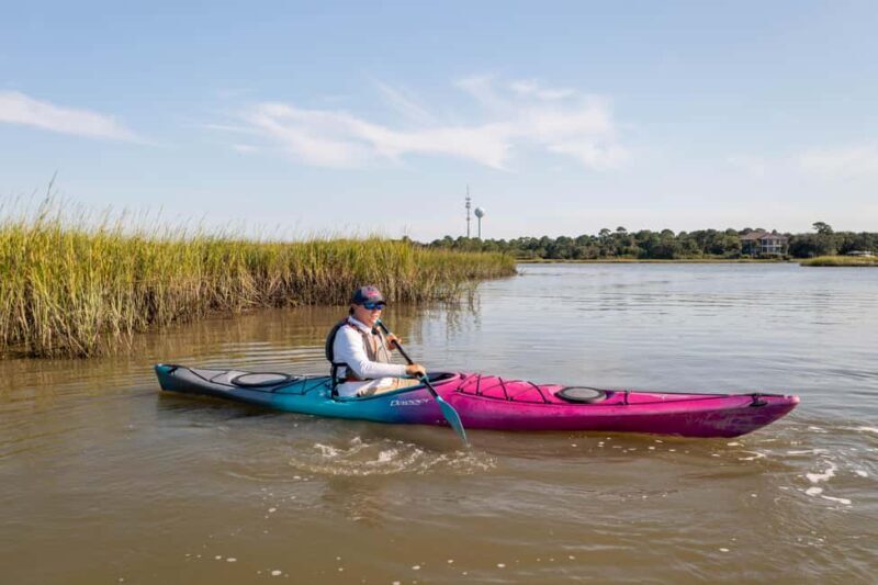 Charleston: Folly River Sunset Kayak Dolphin Safari - What to Expect on the Folly River Sunset Kayak Safari