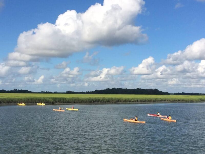 Charleston: Guided 2hr. Kayak Tour with a Tandem or Single - Final Thoughts: Who Benefits Most from this Tour?