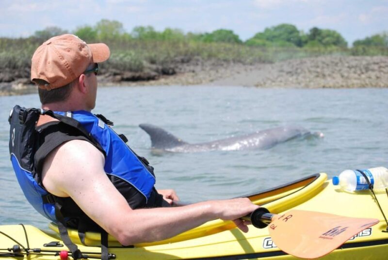 Charleston: Guided 2hr. Kayak Tour with a Tandem or Single - The Experience Provider: Charleston Outdoor Adventures