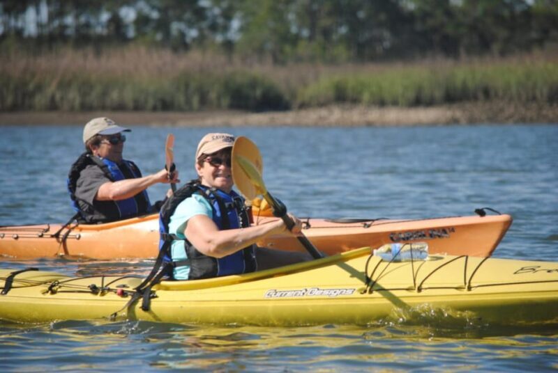Charleston: Guided 2hr. Kayak Tour with a Tandem or Single - The Sum Up