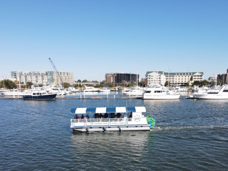 Charleston: Harbor Bar Pedal Boat Party Cruise - Key Points