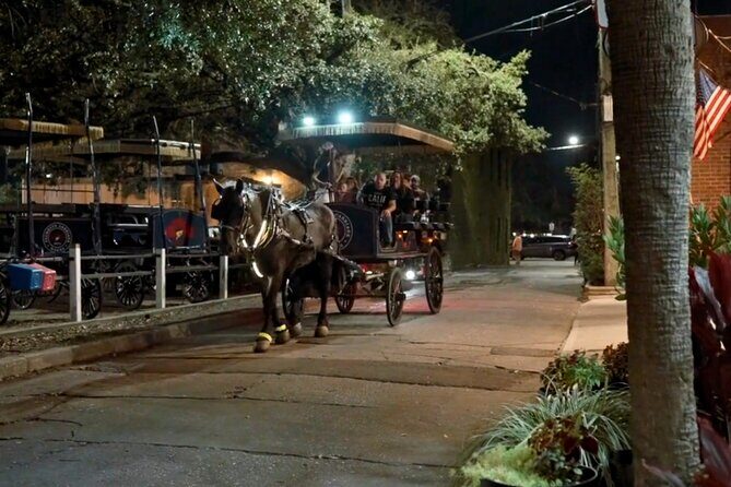 Charleston Haunted Horse and Carriage Evening Tour - A Honest Look at Charleston’s Haunted Horse and Carriage Evening Tour