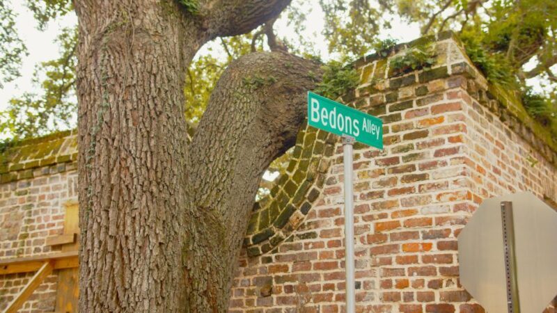Charleston: Hidden Alleys and Historic Sites Walking Tour - Final Thoughts