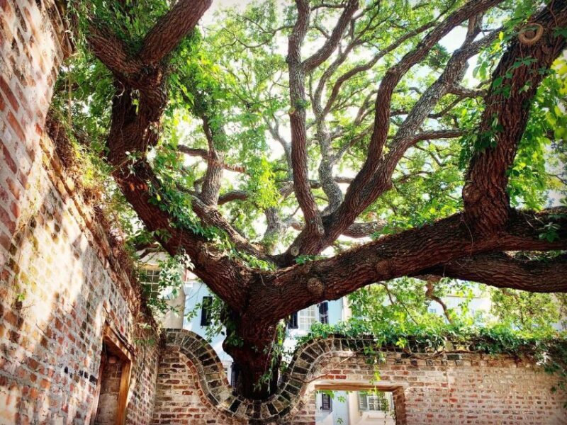 Charleston: Hidden Alleys and Historic Sites Walking Tour - FAQs