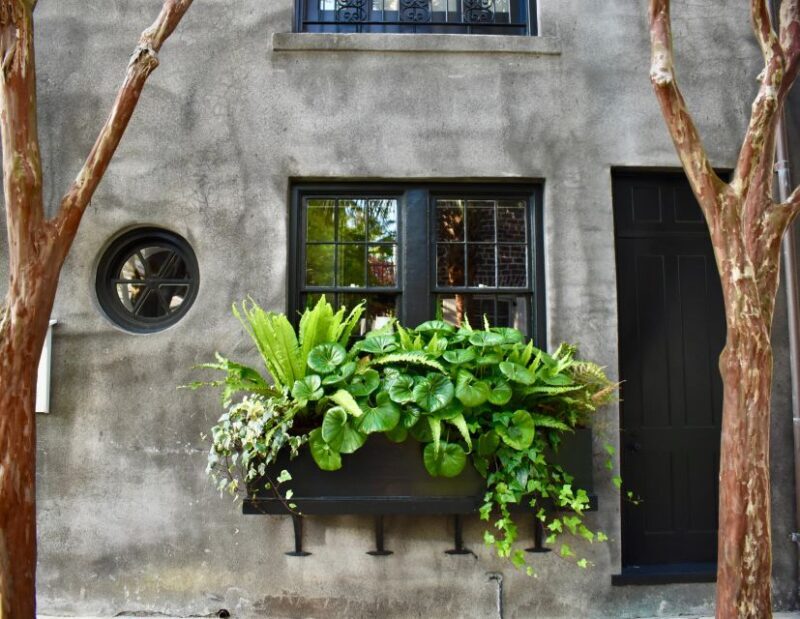 Charleston: Hidden Alleys and Historic Sites Walking Tour - An In-Depth Look at the Charleston Hidden Alleys and Sites Tour