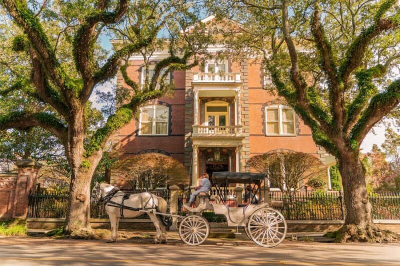 Charleston: Historic Carriage Tour of Charleston - Who Should Consider This Tour?