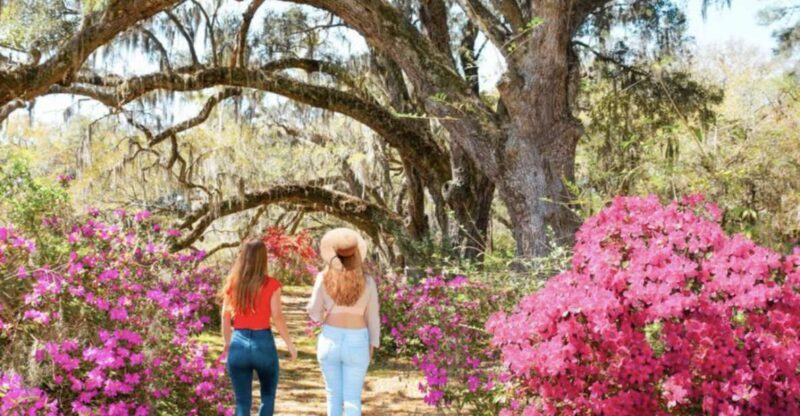Charleston: Historic City Tour & Magnolia Plantation Combo - Who Should Consider This Tour?