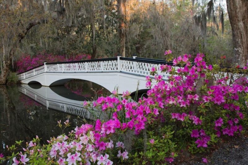 Charleston: Historic City Tour & Magnolia Plantation Combo - Summary