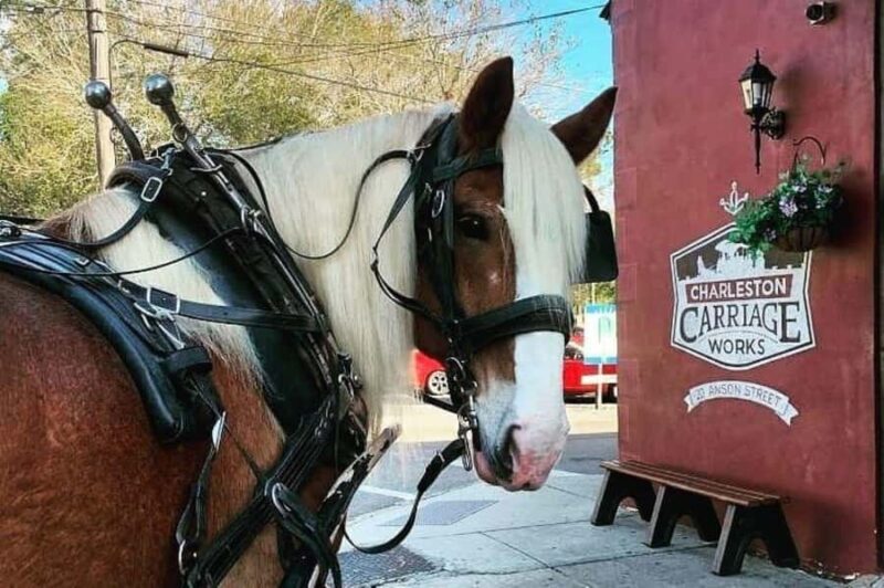 Charleston: Historic Residential Horse and Carriage Tour - Final Thoughts