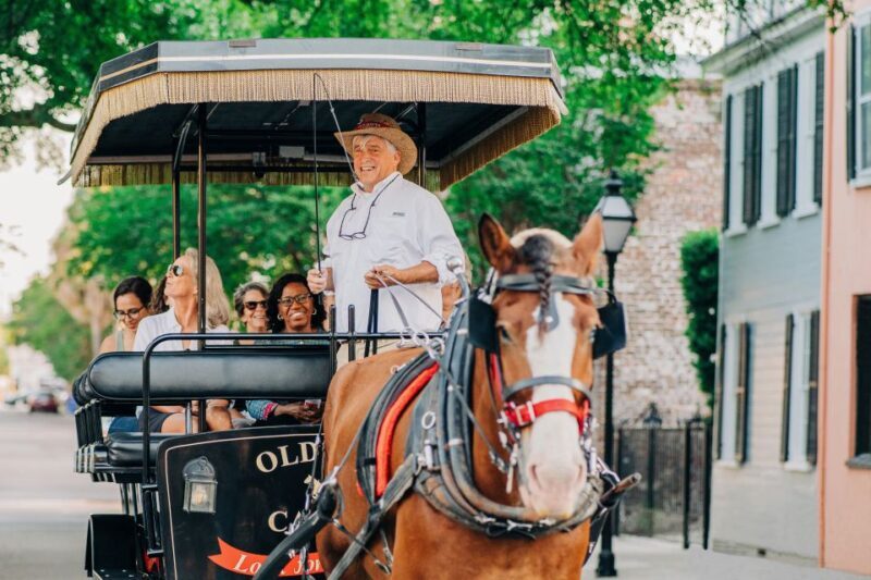 Charleston: Historical Downtown Tour by Horse-drawn Carriage - Charleston: Historical Downtown Tour by Horse-drawn Carriage