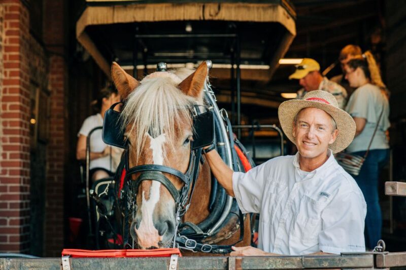 Charleston: Historical Downtown Tour by Horse-drawn Carriage - Final Thoughts: Who Should Consider This Tour?
