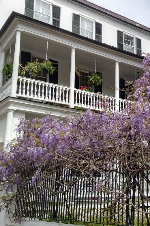 Charleston: Historical Walking Tour with Storytelling - Practical Details