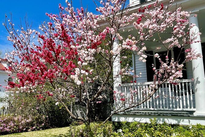 Charleston History Tour / - The Tour Experience: What You Can Expect