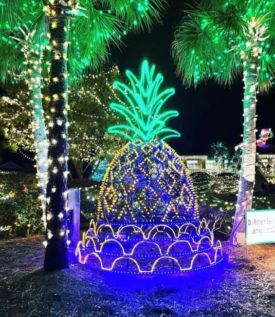 Charleston: Holiday Festival of Lights Tour with S'mores Kit - Who Will Appreciate This Tour?