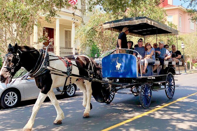 Charleston Horse & Carriage Historic Sightseeing Tour - A Detailed Look at the Charleston Horse & Carriage Tour