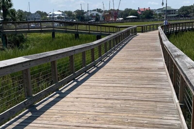 Charleston: Low Country and Shores E-Bike Tour - Why This Tour Is Value-Driven