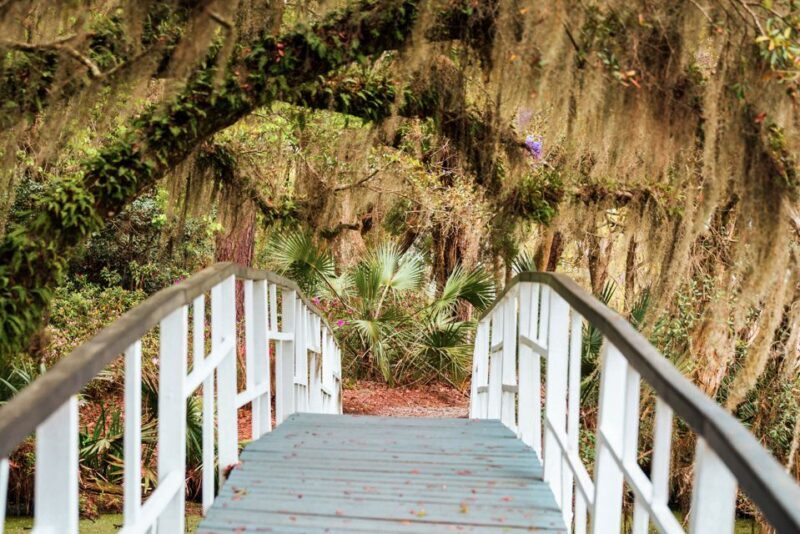 Charleston: Magnolia Plantation Entry & Tour with Transport - The Overall Experience and Value