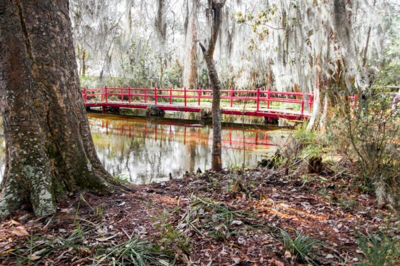 Charleston: Magnolia Plantation Entry & Tour with Transport - Who Should Consider This Tour?
