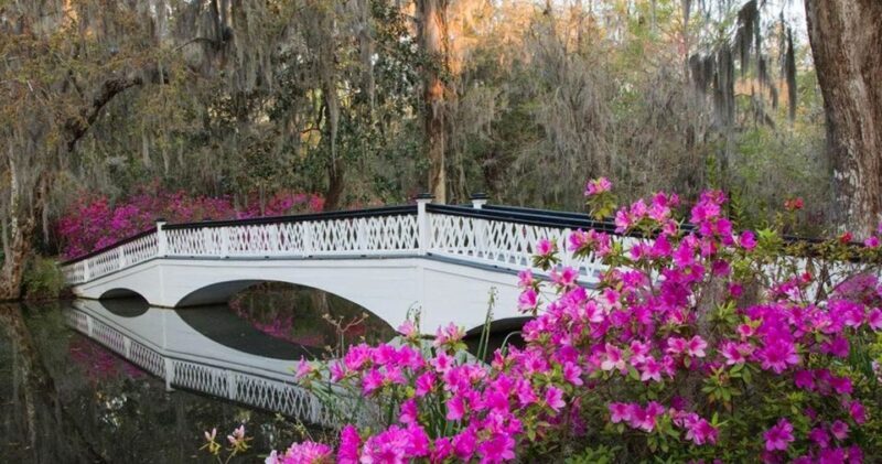 Charleston: Magnolia Plantation Entry & Tour with Transport - The Sum Up