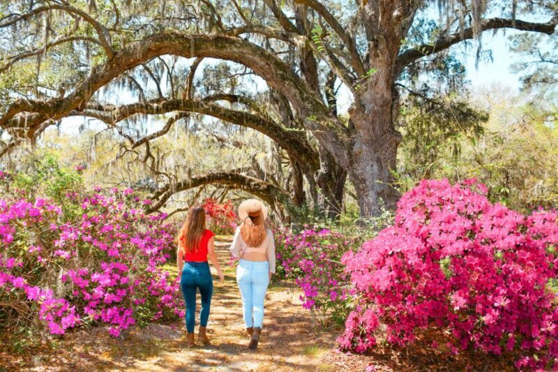 Charleston: Magnolia Plantation Entry & Tour with Transport - FAQ