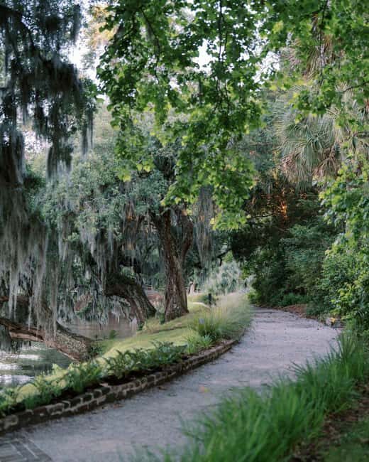 Charleston: Magnolia Plantation & Gardens Guided Tour - Discovering Magnolia Plantation & Gardens: An Authentic Charleston Experience