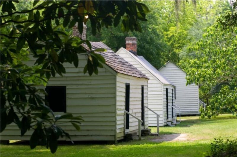 Charleston: Magnolia Plantation & Gardens Guided Tour - Final Thoughts