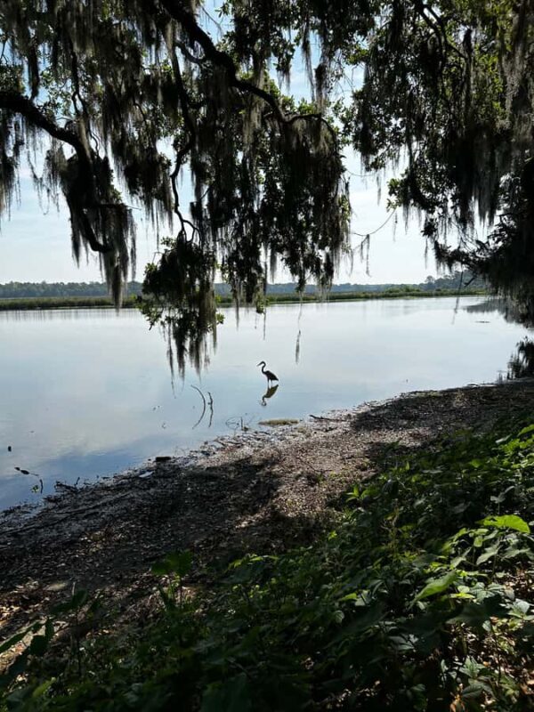 Charleston: Middleton Place Guided Tour with Lunch - Key Points