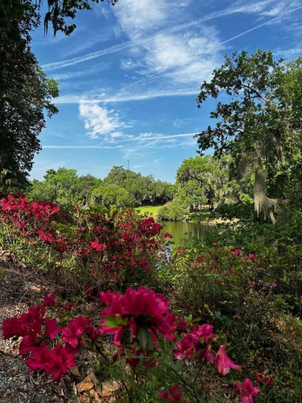 Charleston: Middleton Place Guided Tour with Lunch - Who Will Love This Tour?