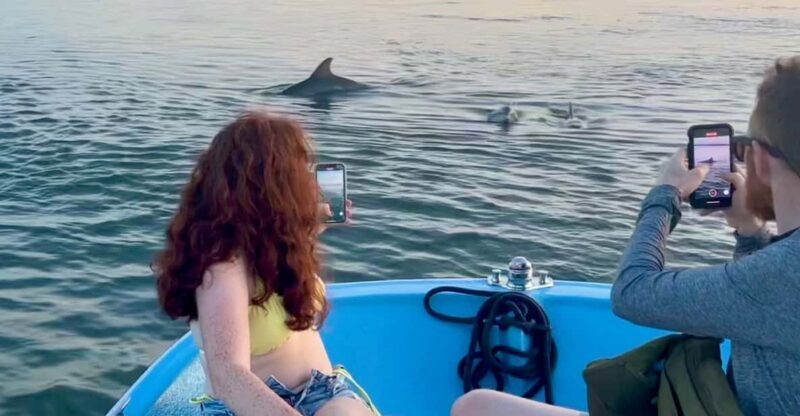 Charleston: Morris Island Dolphin Cruise with Beachcombing - An In-Depth Look at the Morris Island Dolphin Cruise Experience