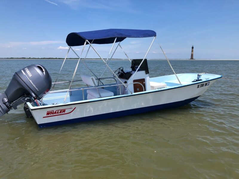 Charleston: Morris Island Dolphin Cruise with Beachcombing - The Sum Up
