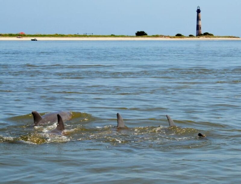 Charleston: Morris Island Lighthouse Eco-Boat Tour - A Practical Look at the Morris Island Lighthouse Eco-Boat Tour
