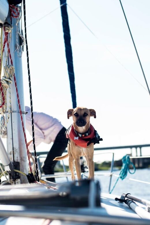 Charleston: Private BYOB Luxury Yacht Cruise - The Experience Itself