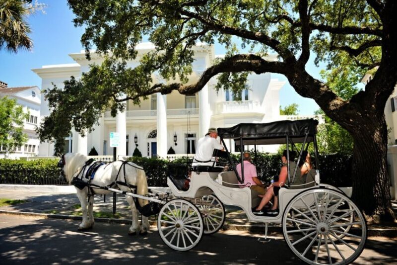 Charleston, SC: Private Daytime Horse-Drawn Carriage Ride - Final Thoughts