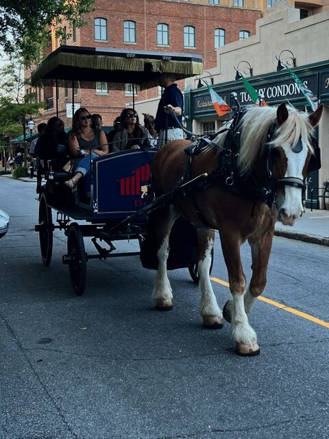 Charleston, SC: Private Evening Horse & Carriage Tour - Key Points