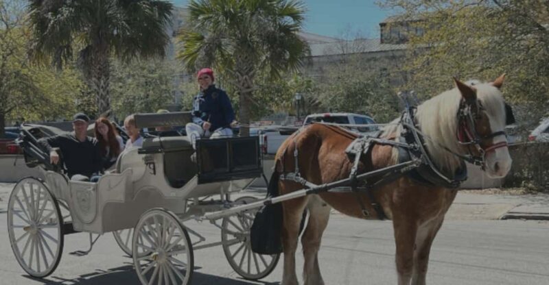 Charleston, SC: Private Evening Horse & Carriage Tour - The Experience in Detail: What You Can Expect