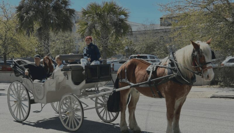 Charleston, SC: Private Evening Horse & Carriage Tour - Analyzing the Value