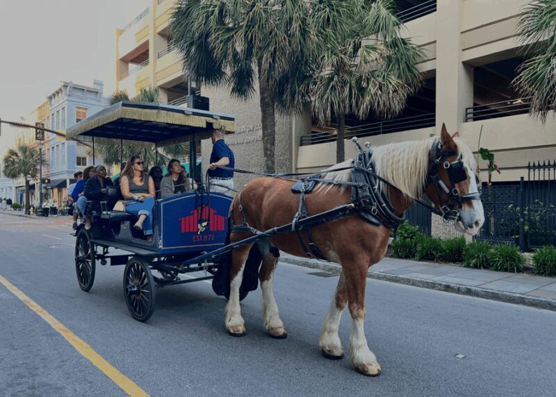Charleston, SC: Private Evening Horse & Carriage Tour - The Sum Up