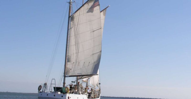 Charleston: Schooner Sailing Harbor Tour & Dolphin Watch - Charleston: Schooner Sailing Harbor Tour & Dolphin Watch — A Practical, Authentic Experience