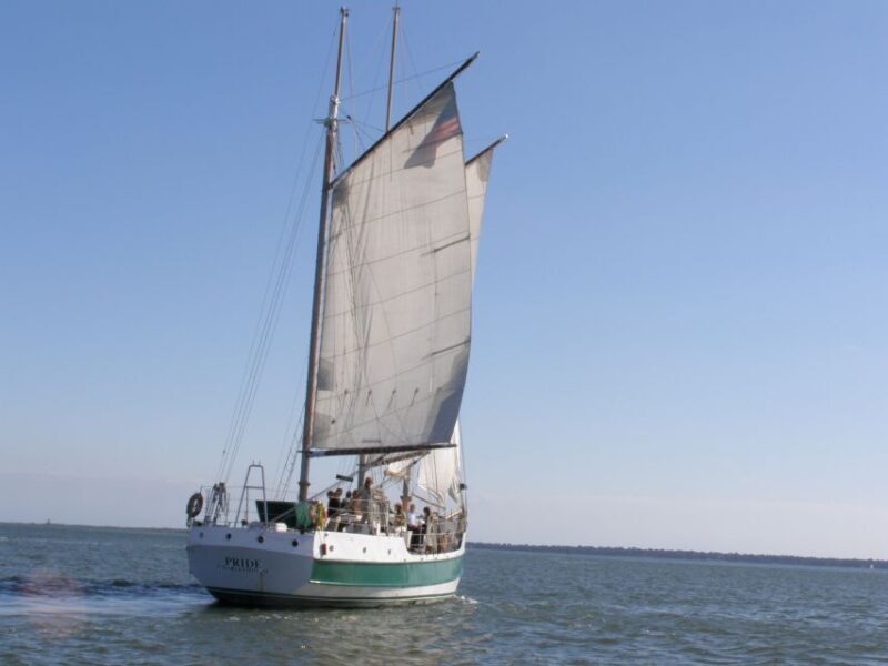 Charleston: Schooner Sailing Harbor Tour & Dolphin Watch - A Closer Look at the Experience