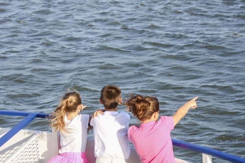 Charleston: Sightseeing Harbor Tour & Dolphin Watch - Watching for Dolphins