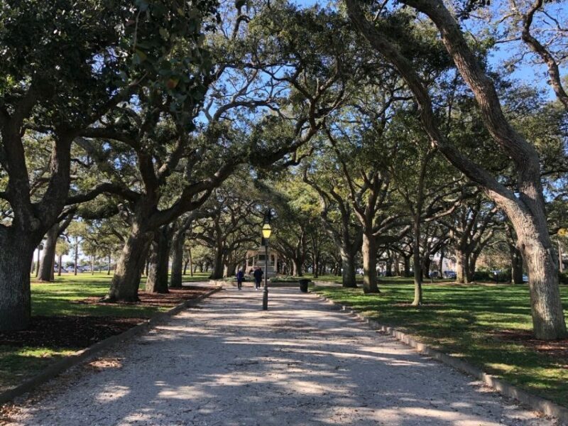 Charleston: Walking History and Bar Tour - Practical Details