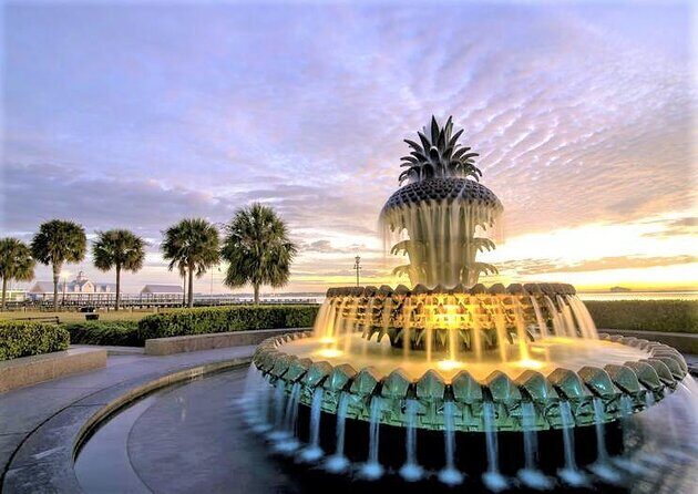 Charleston Water Taxi Cruise with Dolphin Sighting - Why Choose the Charleston Water Taxi?