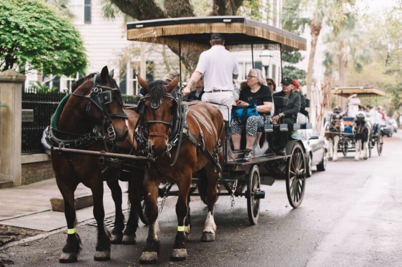 Charleston:Evening Haunted History Horse-Drawn Carriage Tour - An In-Depth Look at the Haunted Carriage Tour Experience
