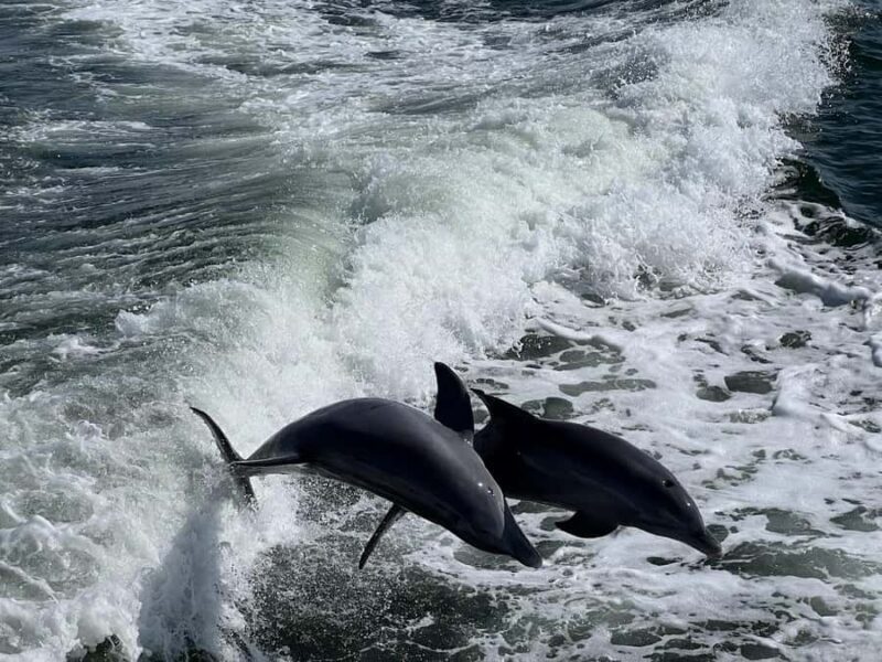 Charlotte Harbor: "The Oasis" Tiki Boat Sunset Cruise - A Detailed Look at the Experience