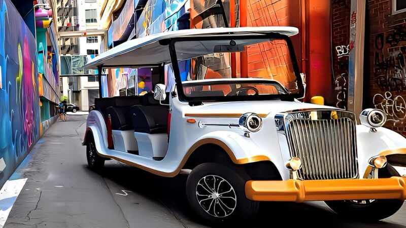 Charlotte:Historical Southern Elegance Tour by Vintage Cart - Who Should Consider This Tour?