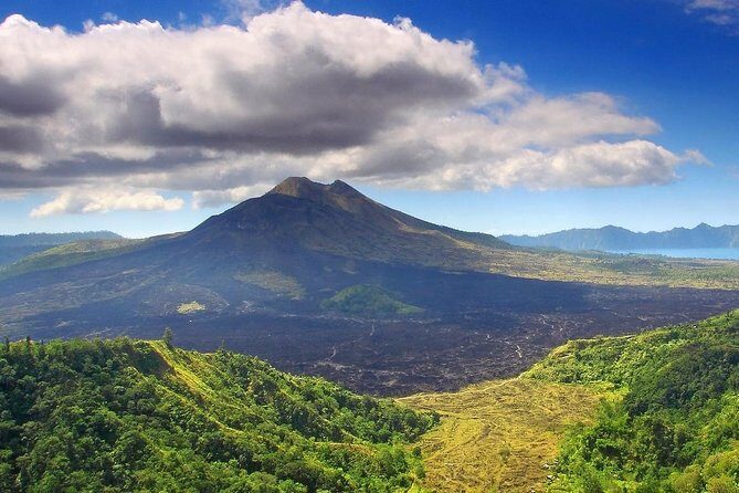 Charter Premier Vehicle with Driver at Bali - 5 Hours Usage - A Deep Dive into the Bali Private Car Charter