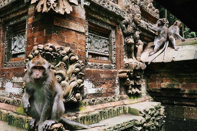 Charter Standard Vehicle with Driver at Bali- 10 Hours Usage - A Deep Dive Into the Bali Private Vehicle Experience