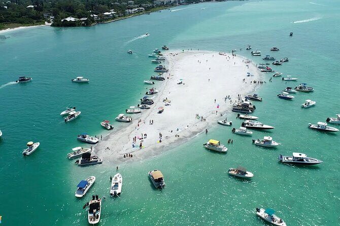 Chartered Private Family Boat Tour - An In-Depth Look at Sarasotas Private Boat Tour